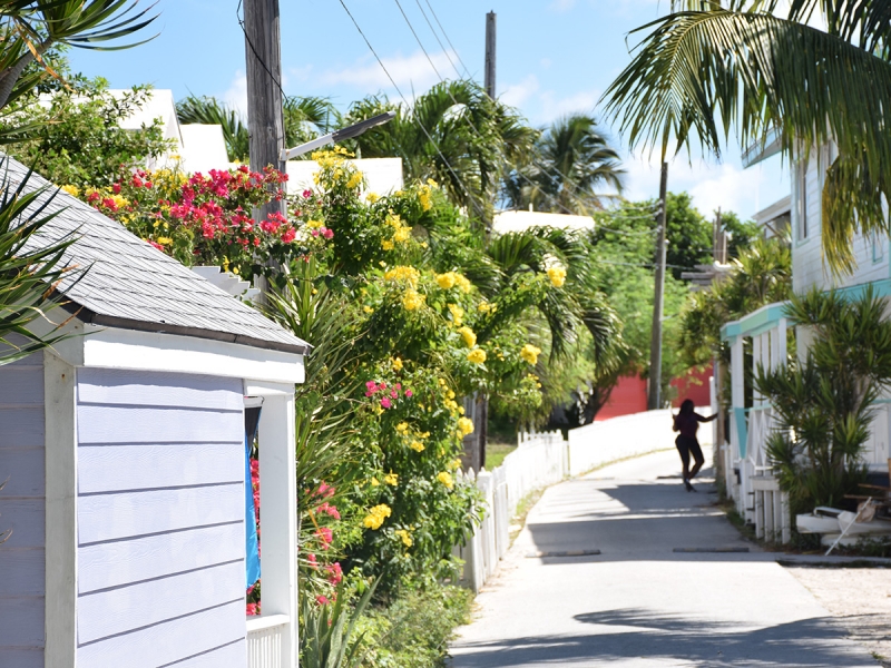 Guardians of the Light | The Bahamian Project