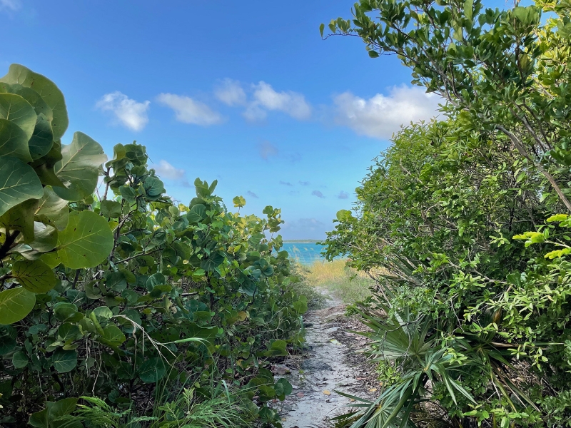 A Long Island Excursion | The Bahamian Project