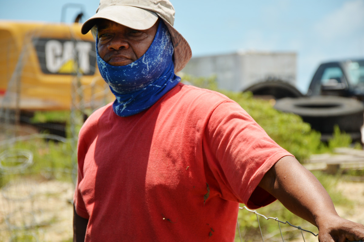 Farming In Long Island | The Bahamian Project