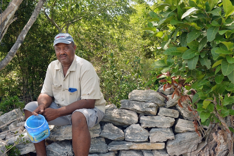 Farming In Long Island | The Bahamian Project
