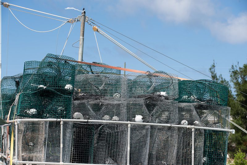 Fishing On Long Island | The Bahamian Project