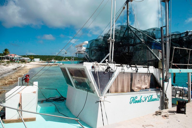 Fishing On Long Island | The Bahamian Project