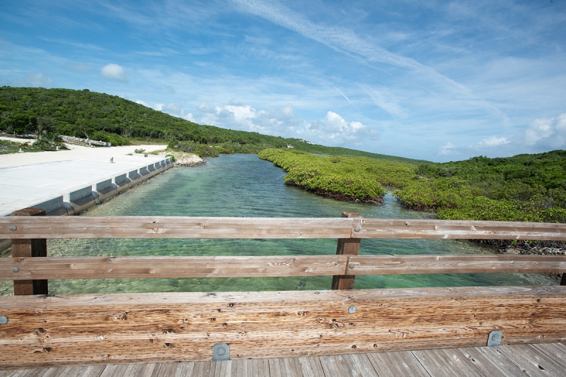 A Long Island Excursion | The Bahamian Project