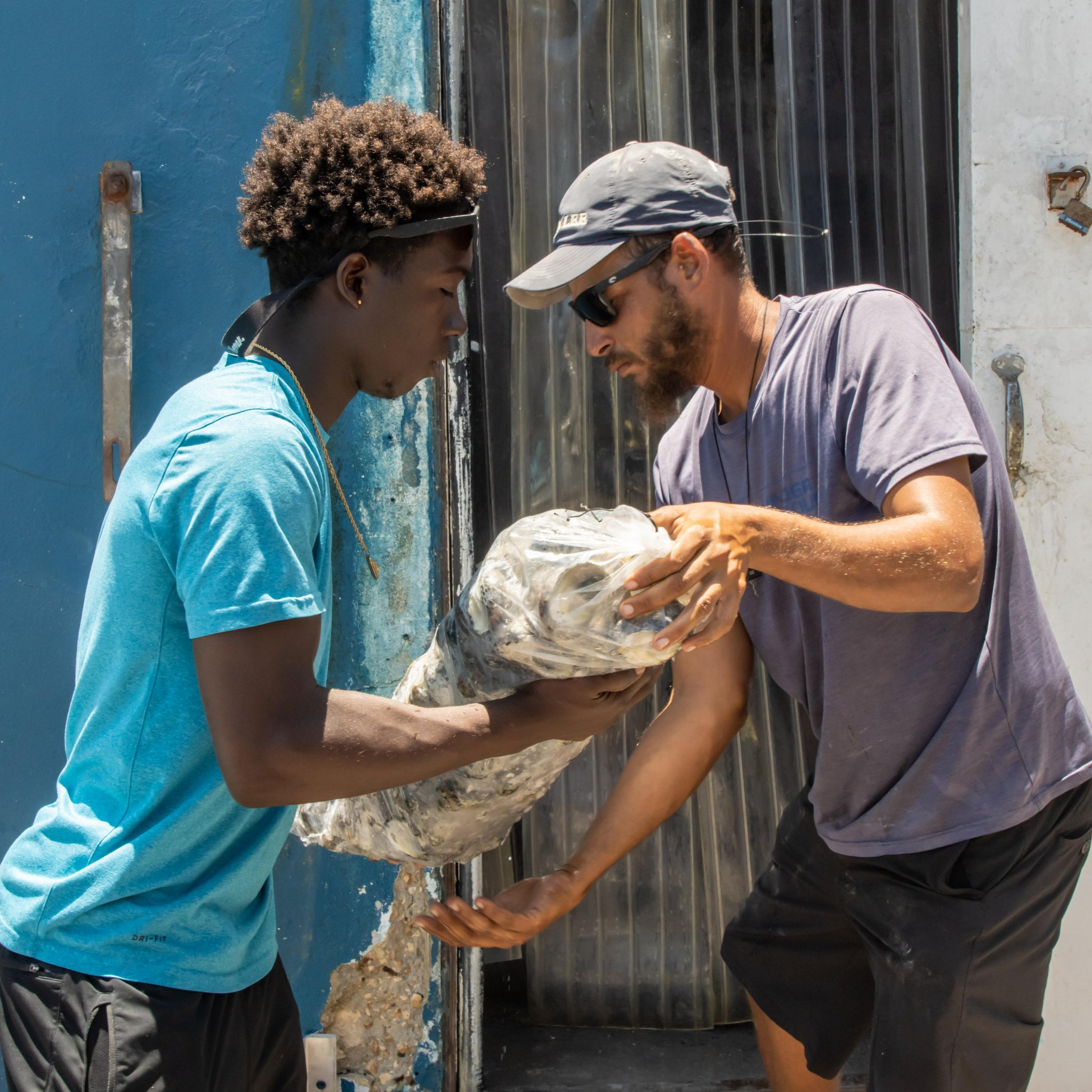 Fishing On Long Island | The Bahamian Project
