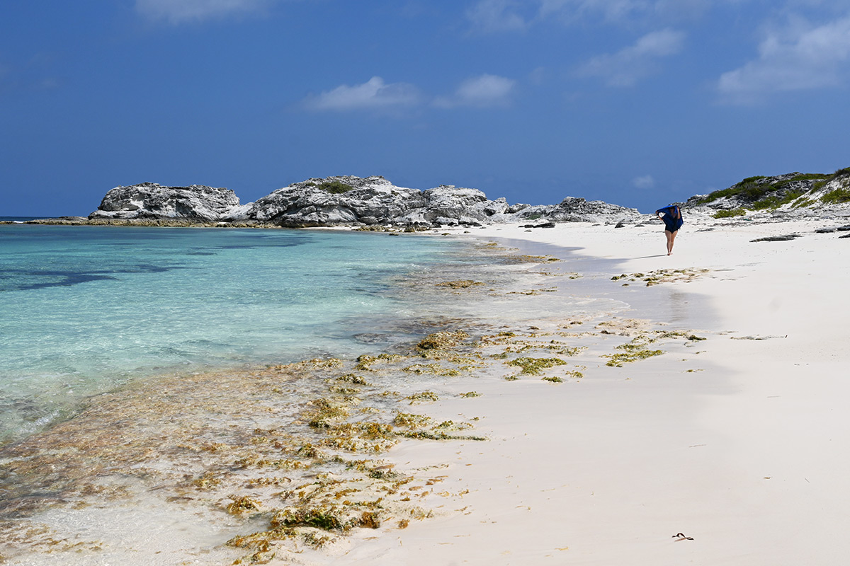 Back To The Islands | The Bahamian Project