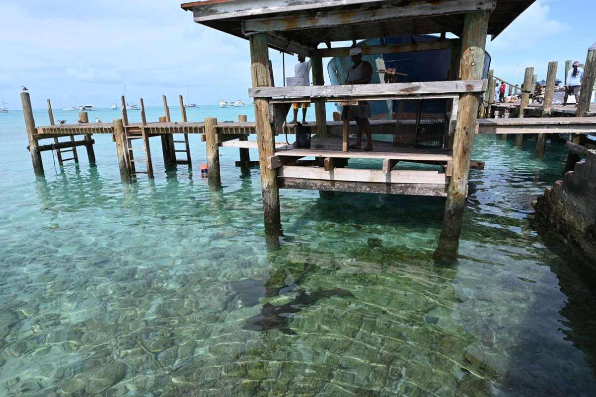 Long Live The Mailboat | The Bahamian Project